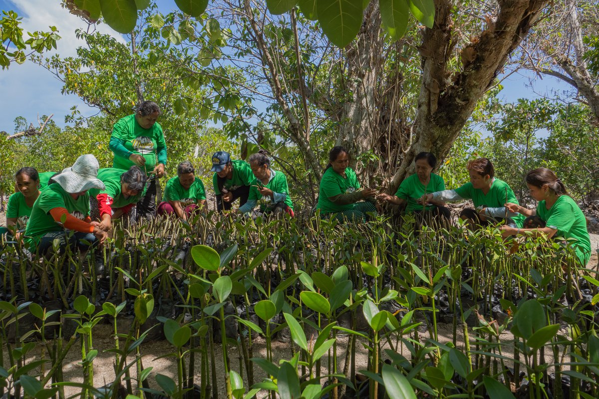 evaluation community preparedness Asia Pacific Central America | Oxfam