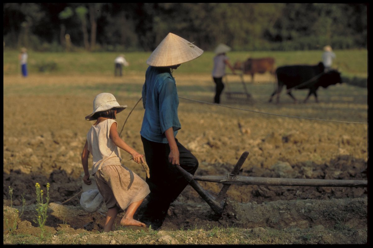 Vietnam: Donate to end poverty | Oxfam America | Oxfam