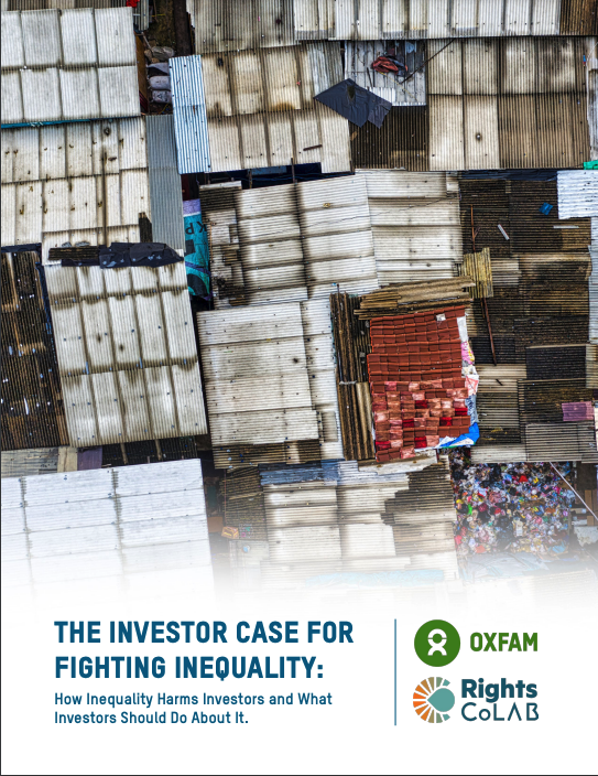 The Investor Case for Fighting Inequality: How Inequality Harms ...