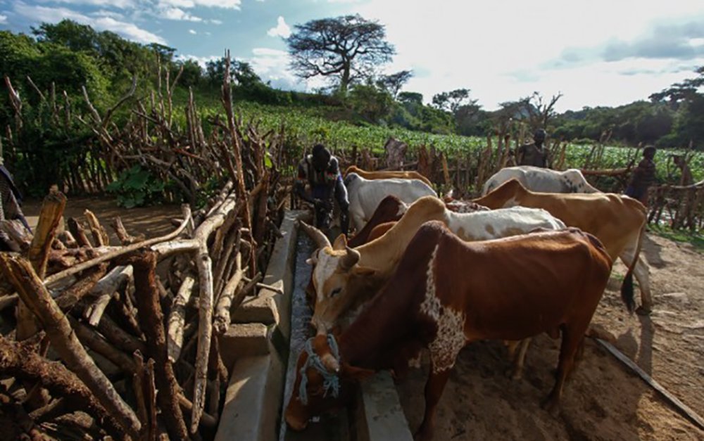 Hats off to USAID | Oxfam