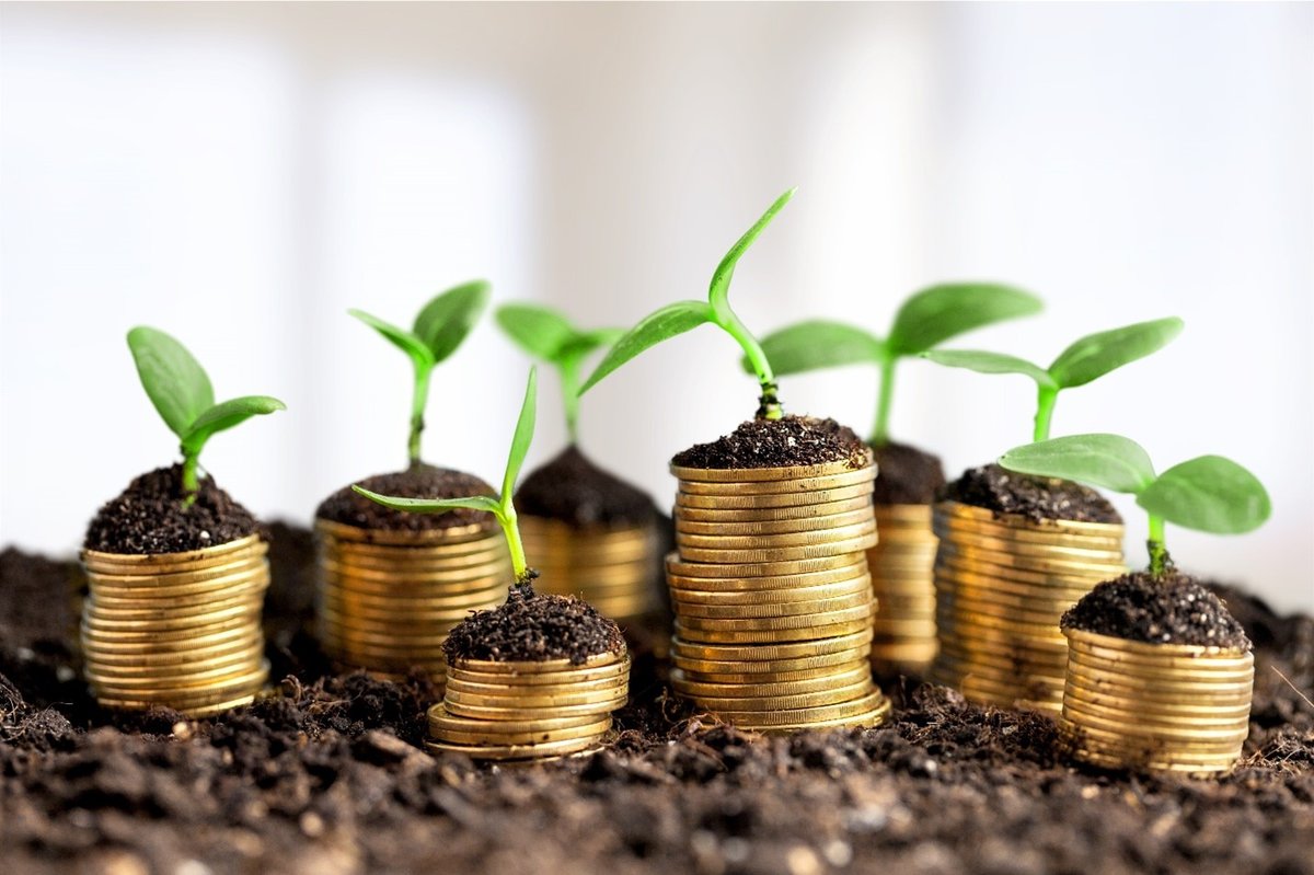 Reimagining Our Sector: New Pathways for Sustainable Development ...