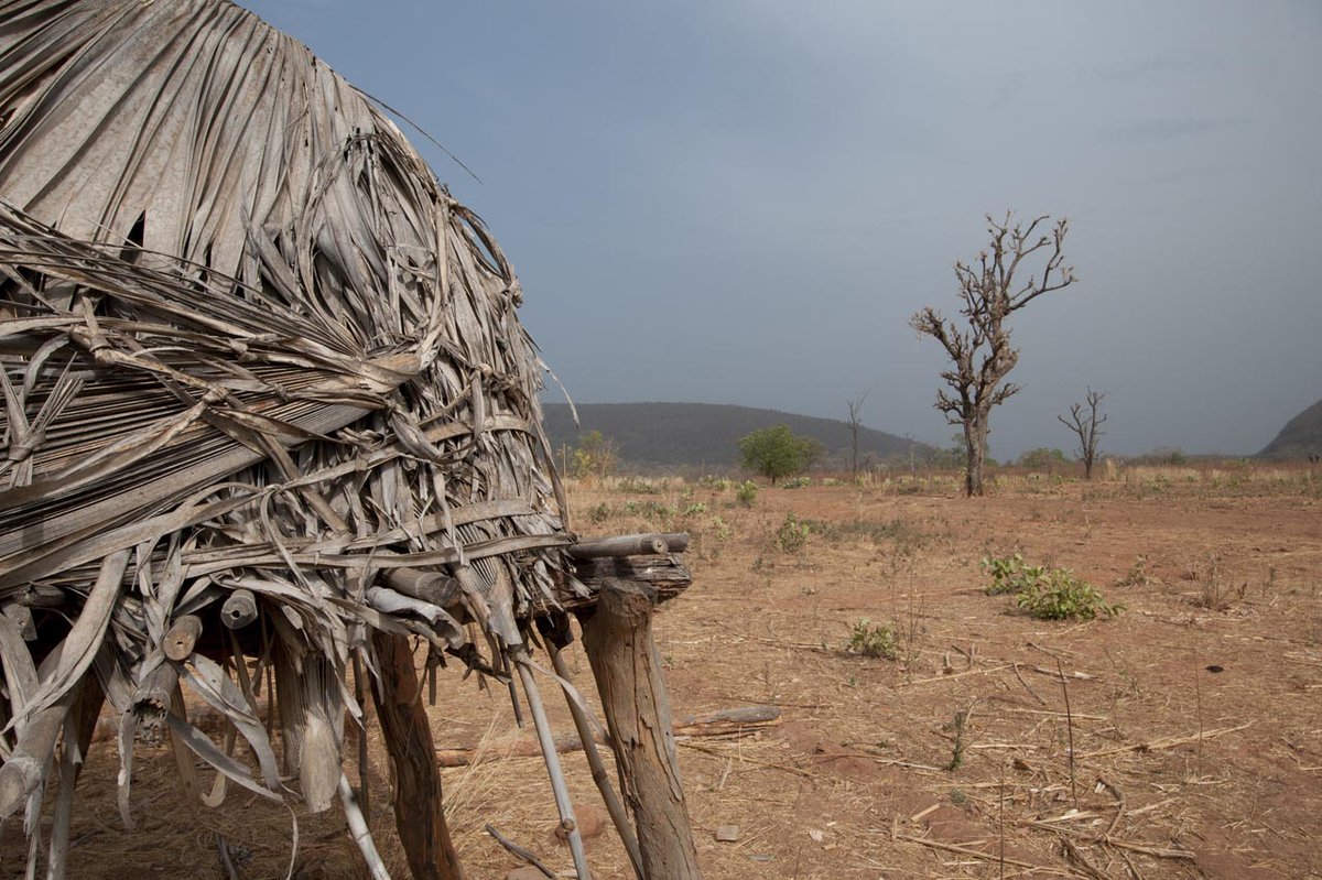 Sahel food crisis: Dry times in 2011 threaten ability to plant in 2012 ...