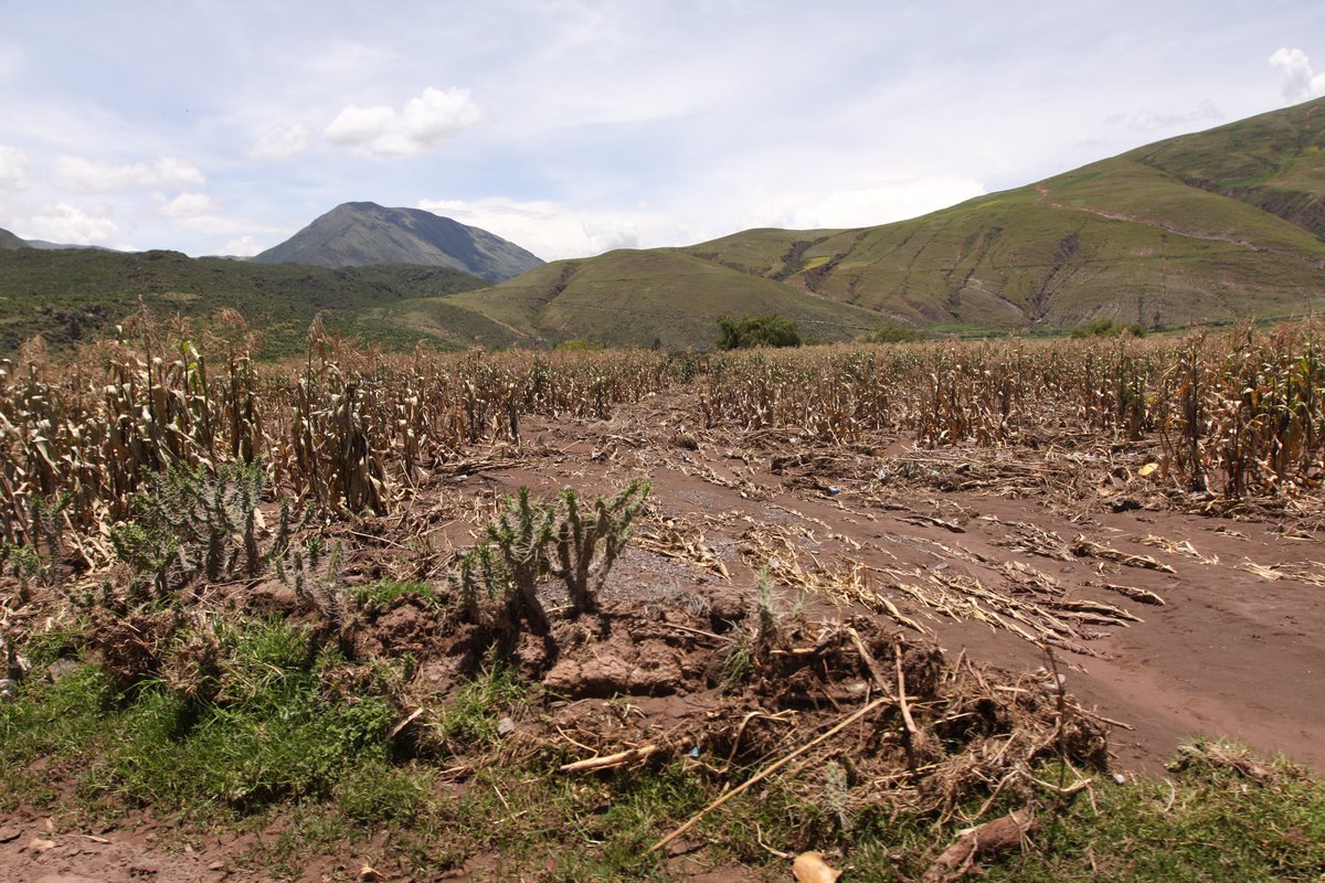 In Peru, farmers and shopkeepers wonder how they will begin again after ...